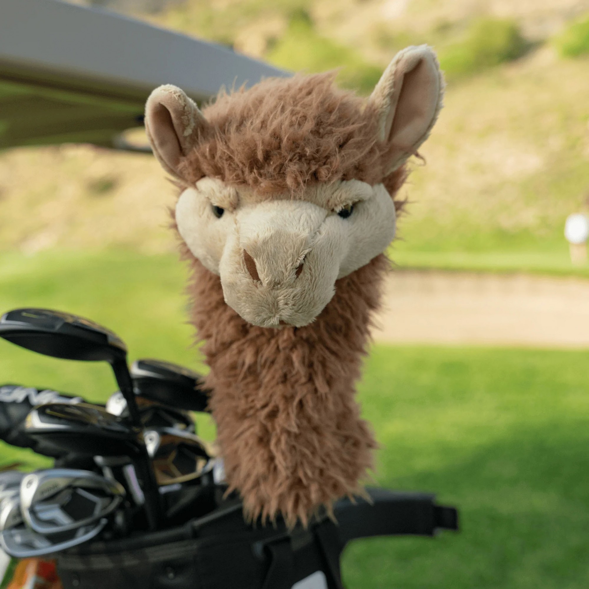 llama headcover